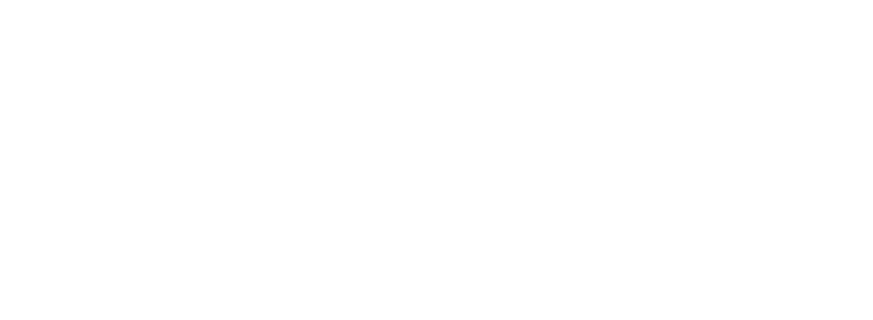 The leading SEIS fund | SFC Capital